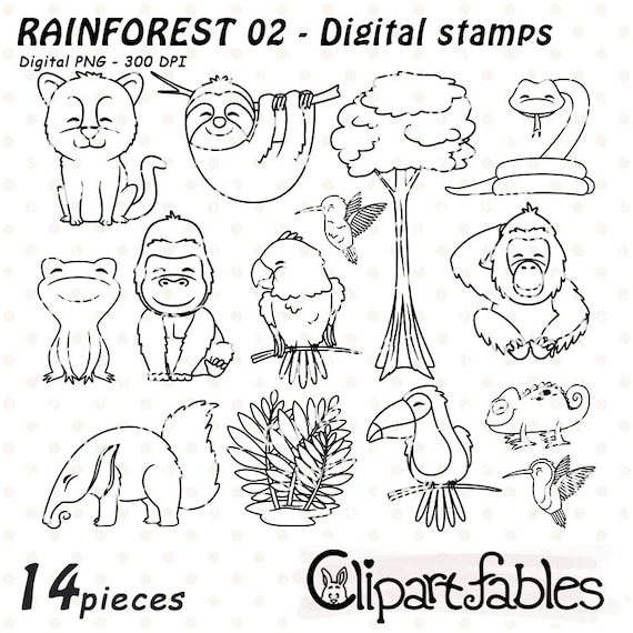 Rainforest Animal Clipart Black And White