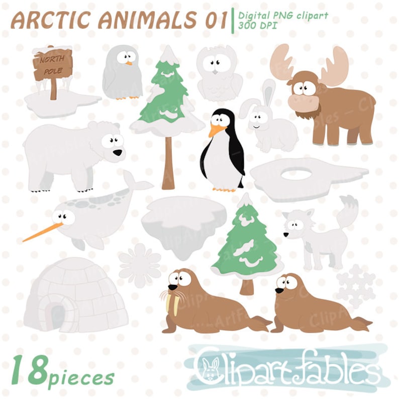 Cute ARCTIC ANIMALS Clipart, North Pole and Sea, Sweet Narwhal ...