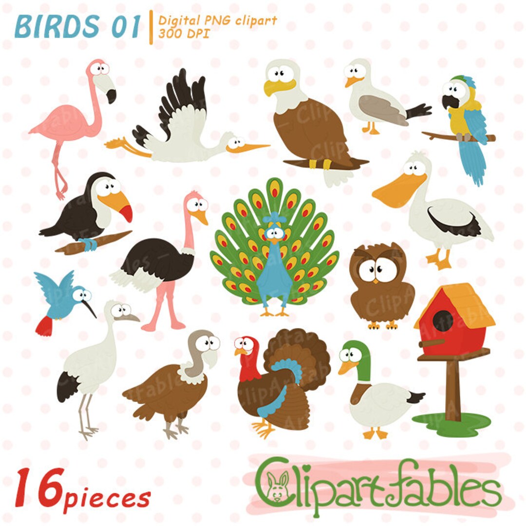 Cute BIRD Clipart, Tropical Bird Clip Art, INSTANT Download, Digital ...