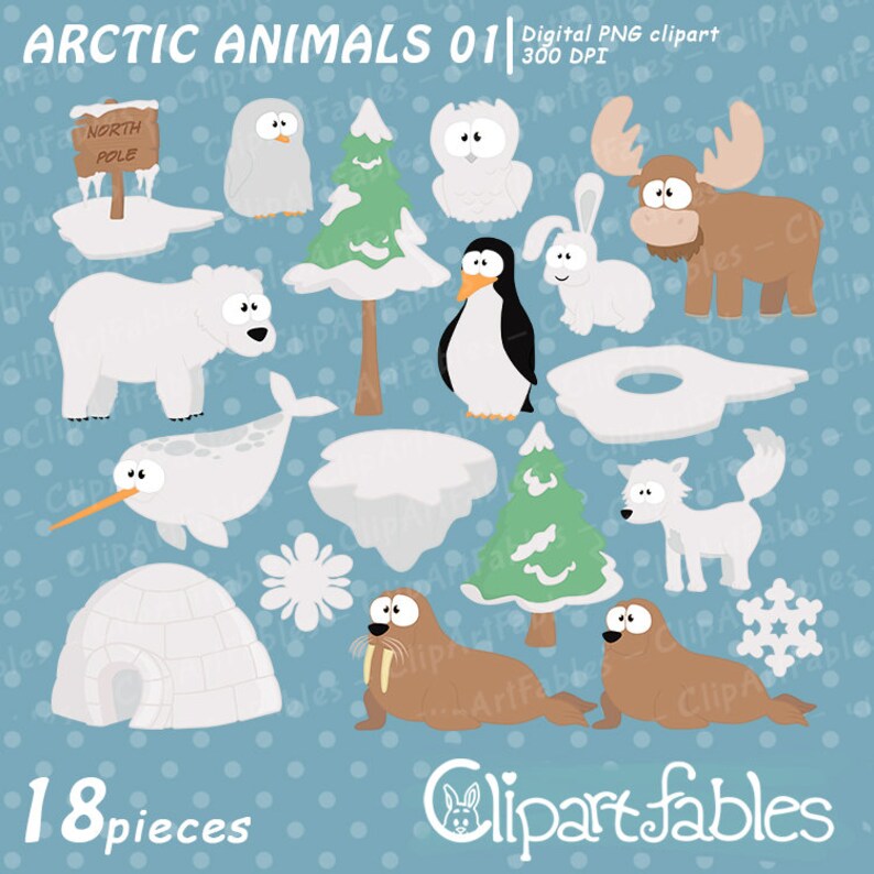 Cute ARCTIC Animals clipart North pole and sea narwhal and | Etsy