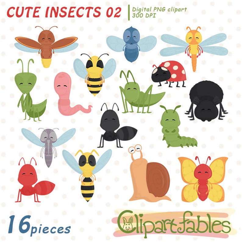 Cute INSECT 2 Clipart, Beetle, Bug Clip Art, Digital Clipart, Insect ...