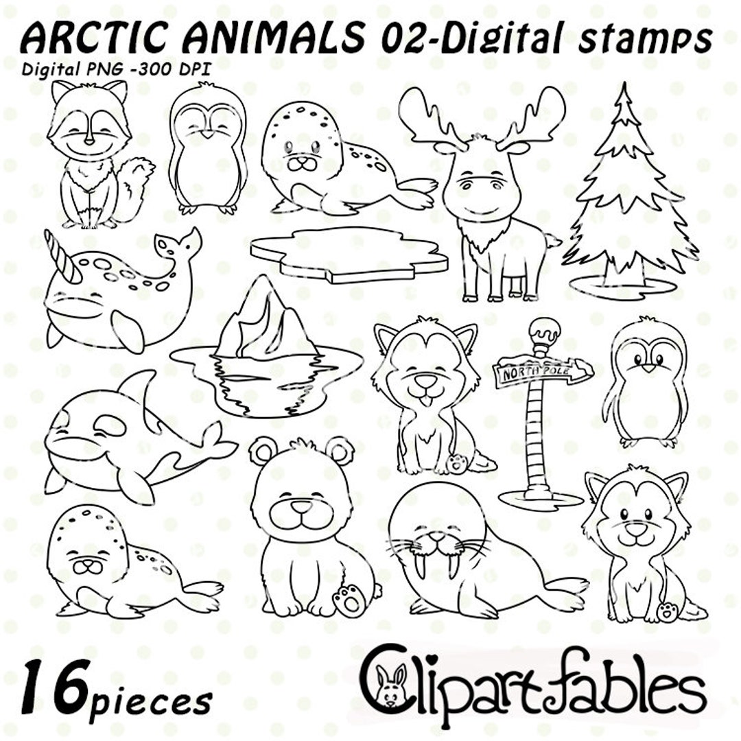 Dibujos Para Colorear De Animales Del ártico Dibujos De Animales Del