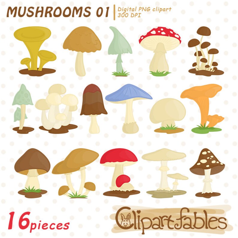 MUSHROOM Clipart, Fungi, Fungus Clip Art, Colorful Mushrooms - INSTANT ...