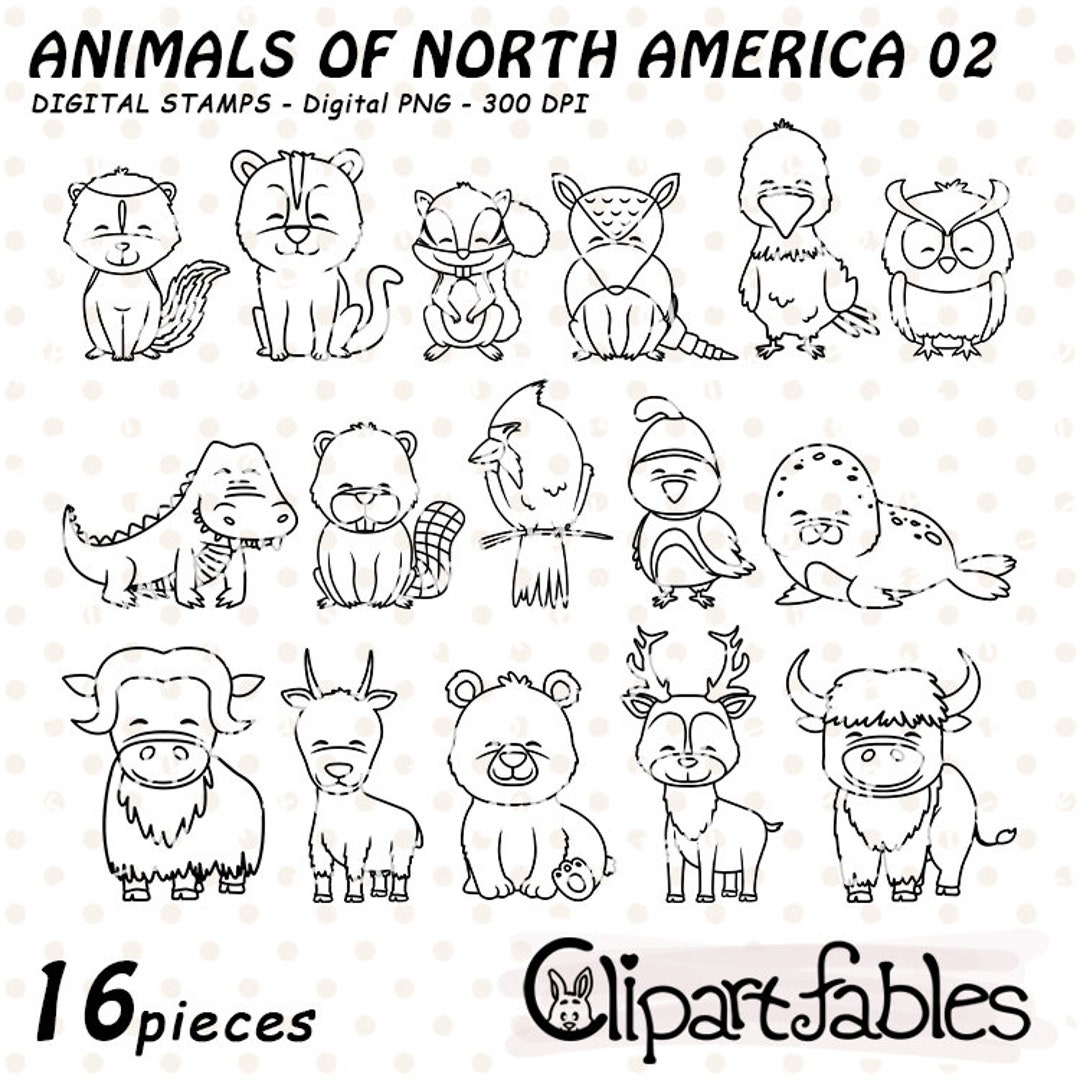 Cute ANIMALS of North America DIGITAL STAMPS, North America Wildlife ...