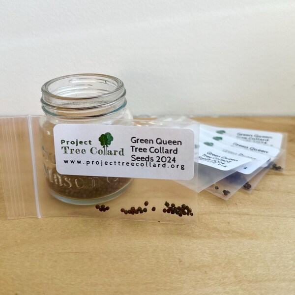 ProjectTreeCollard - Etsy