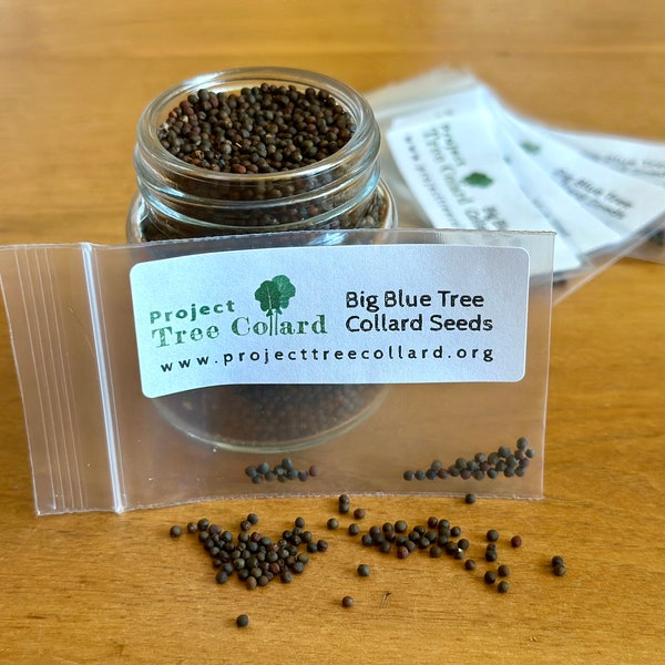 ProjectTreeCollard - Etsy