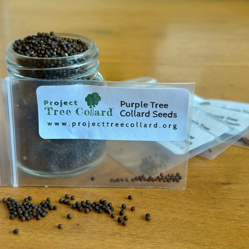 ProjectTreeCollard - Etsy