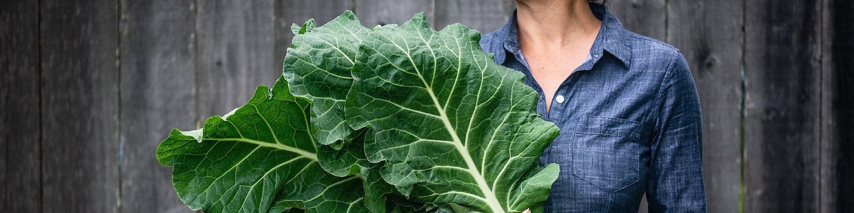 ProjectTreeCollard - Etsy