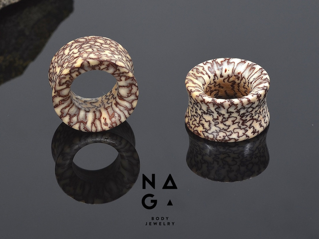 1 Pair of ARECA Nut Wooden Tunnels, Wood Ear Tunnels, Plugs and Gauges ...