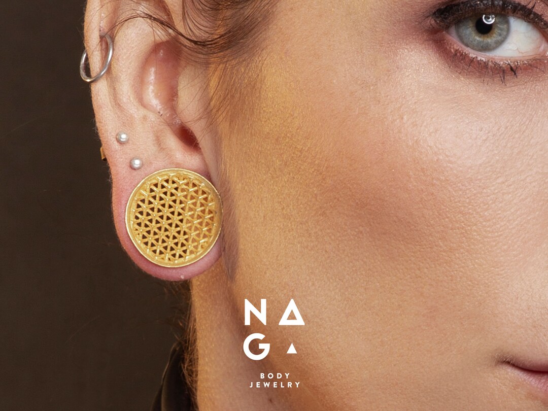 1 Pair of ARMOUR Vermeil Yellow Gold Ear Plugs Gauges, Sizes From 6 Mm ...