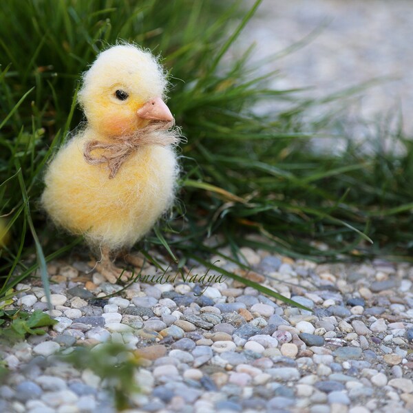 Needle Felt Chick - Etsy