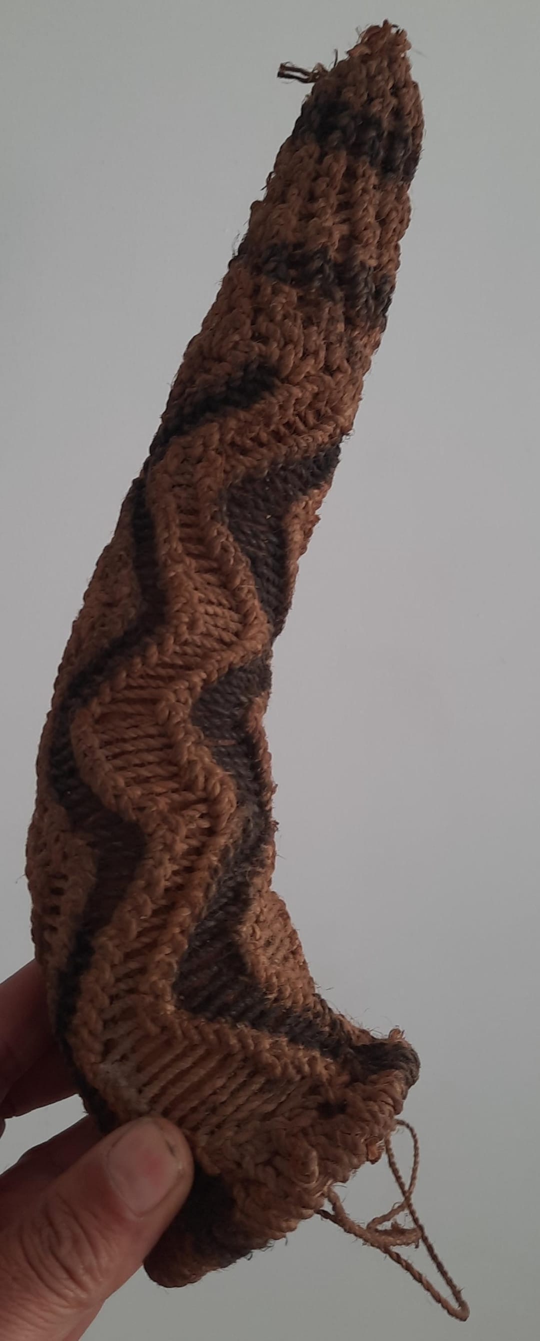 Penis Sheath koteka of the Iatmul People of Papua New Guinea - Etsy