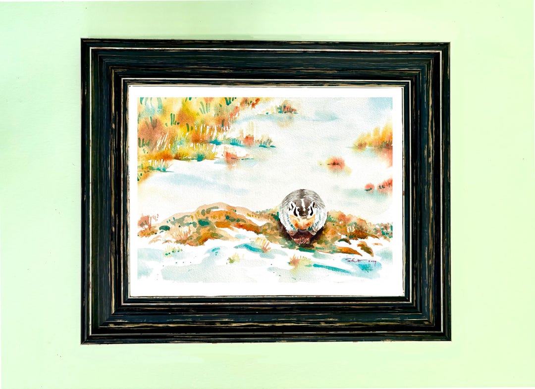 Badger Art Print, Multiple Sizes - Etsy