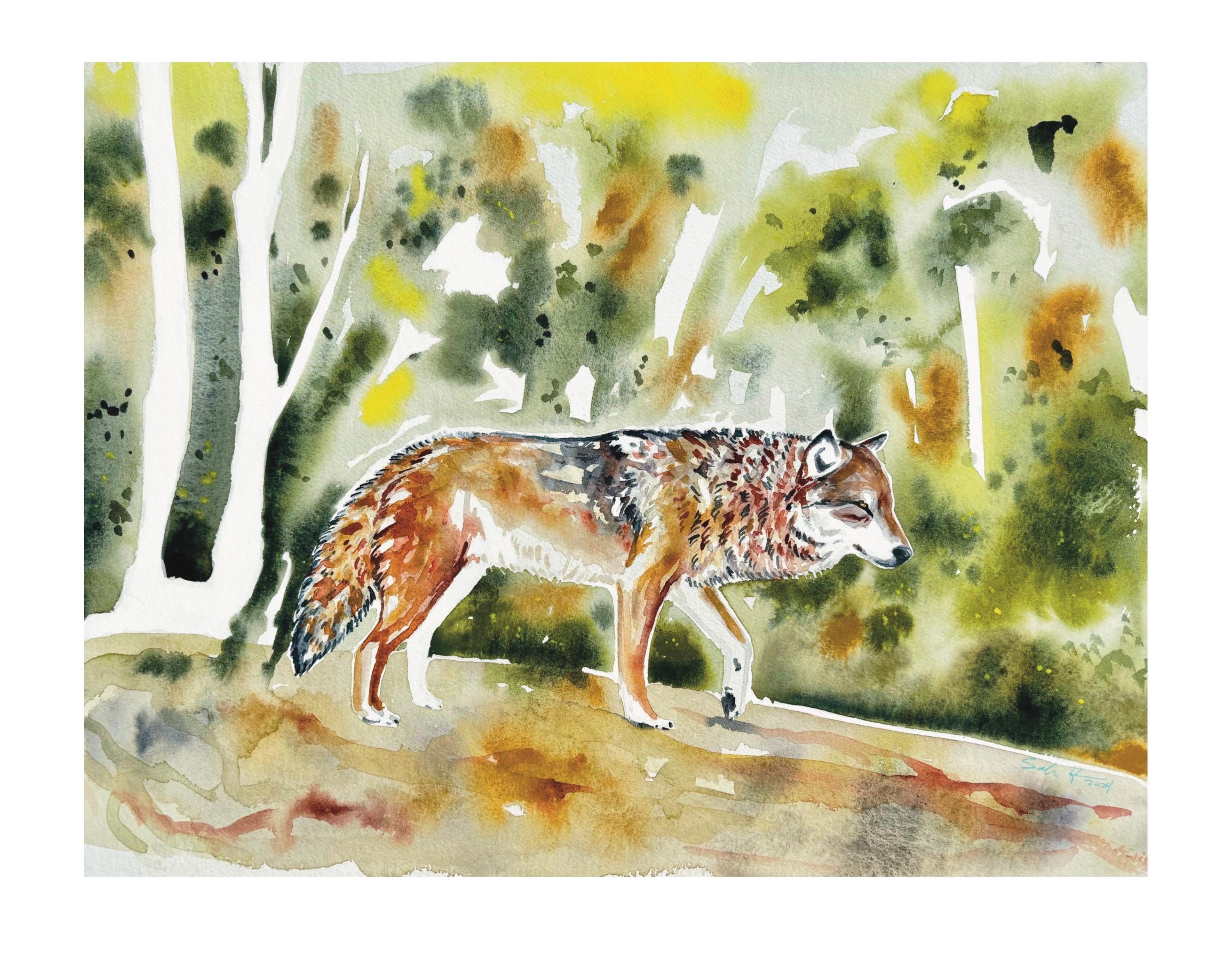 Red Wolf Art Print, Multiple Sizes - Etsy