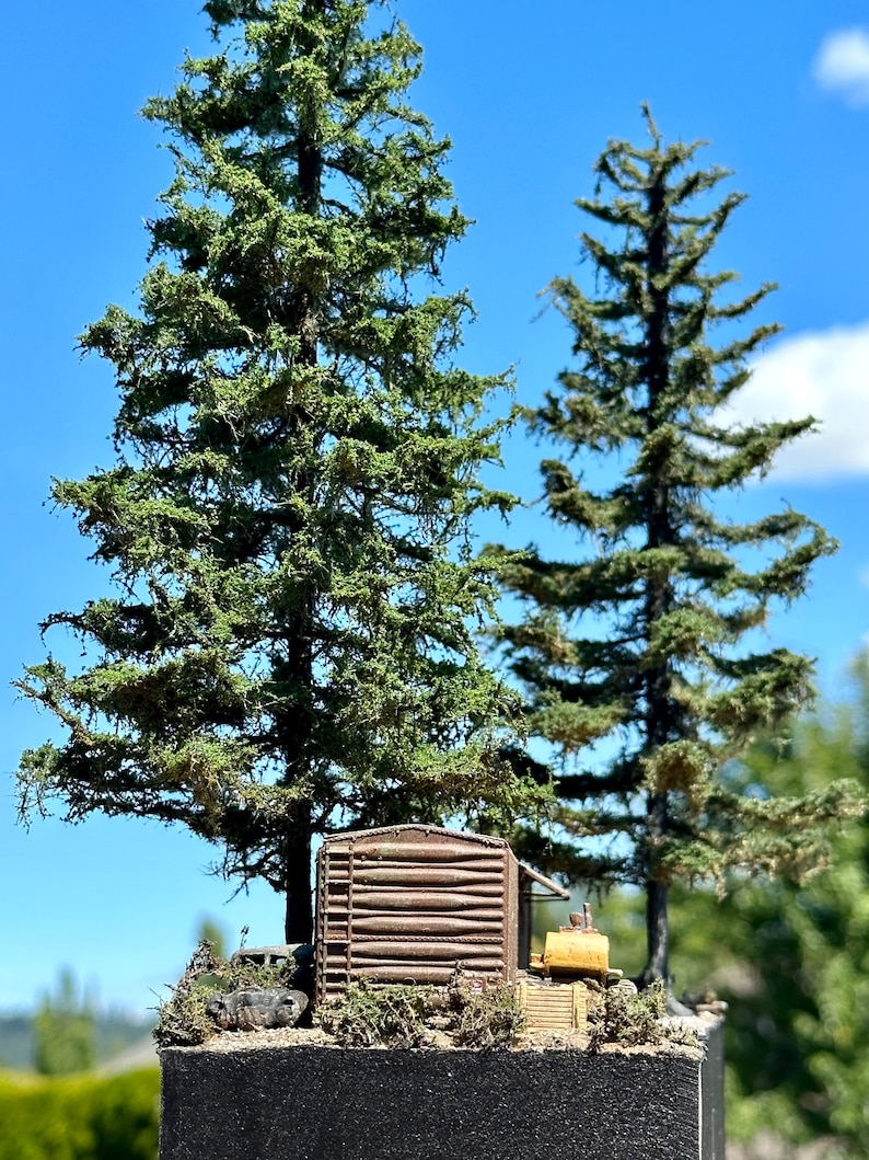 Handmade HO Scale Diorama: Old Boxcar, Forest Scene - Etsy