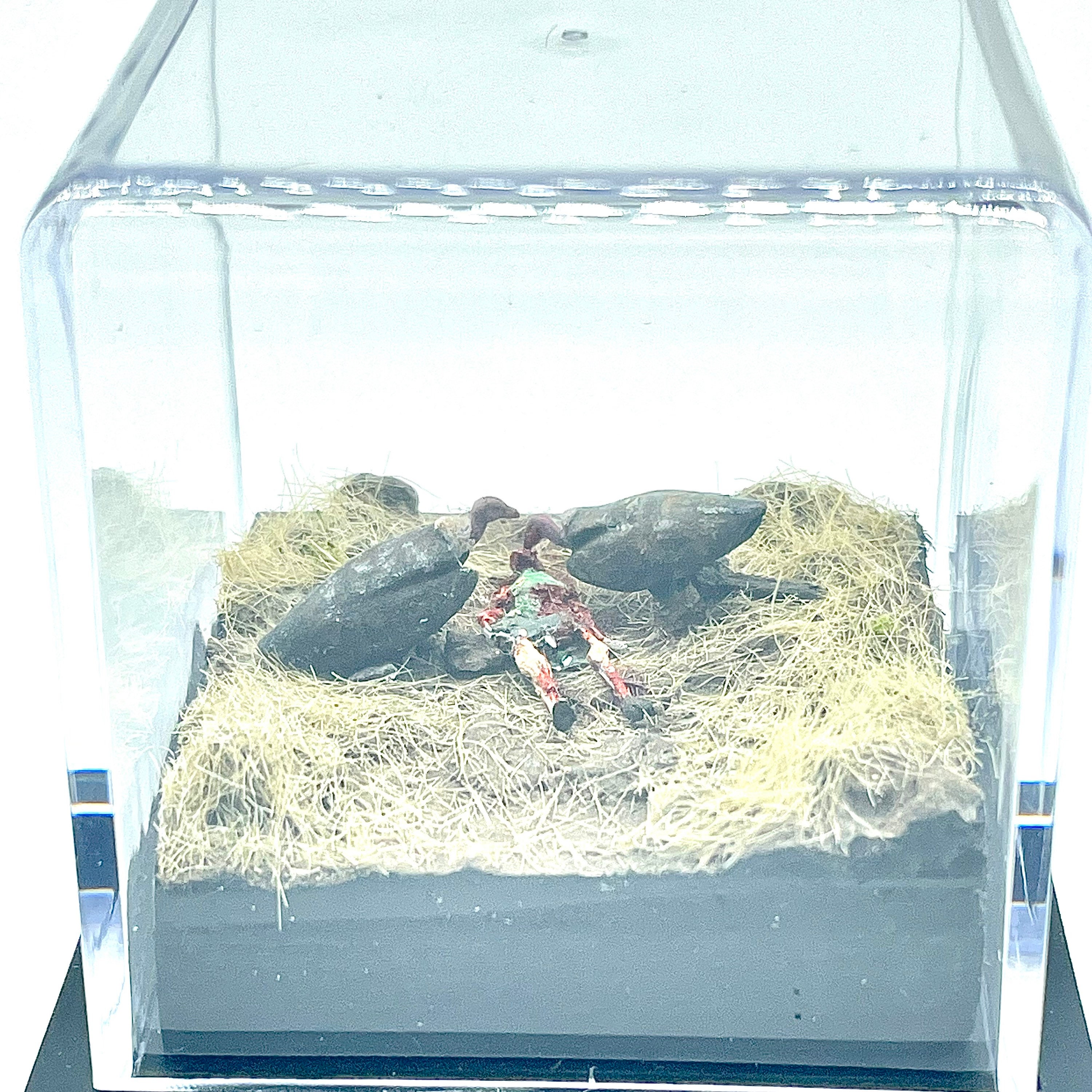 Diorama Vultures Luncheon: HO Scale Tiny Miniature Model Train ...