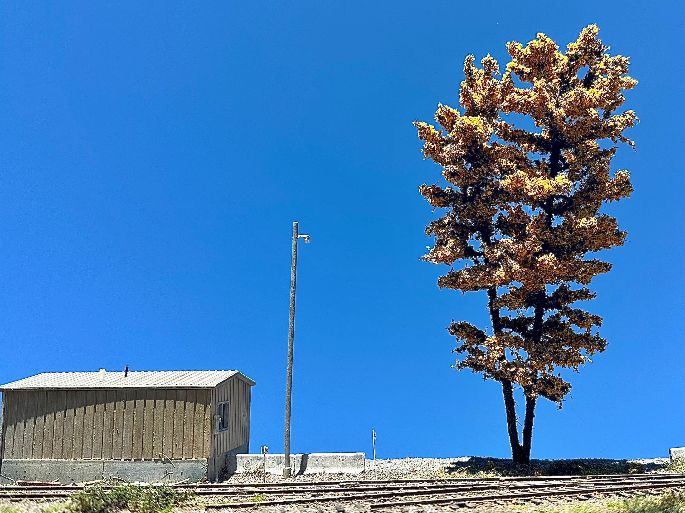 Diorama Model Railroad Yard Office: Autumn Shortline HO Scale Model ...