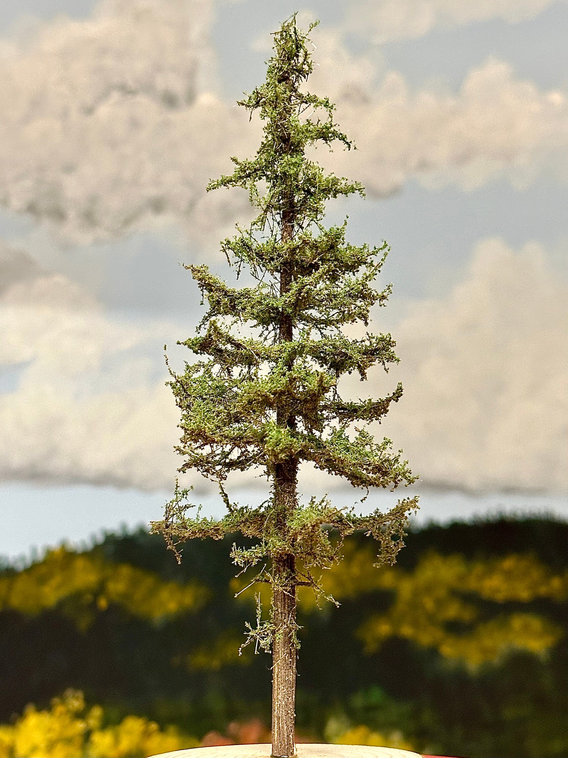 Handmade N Scale Evergreen Tree - 7" Model Railroad Diorama - Etsy