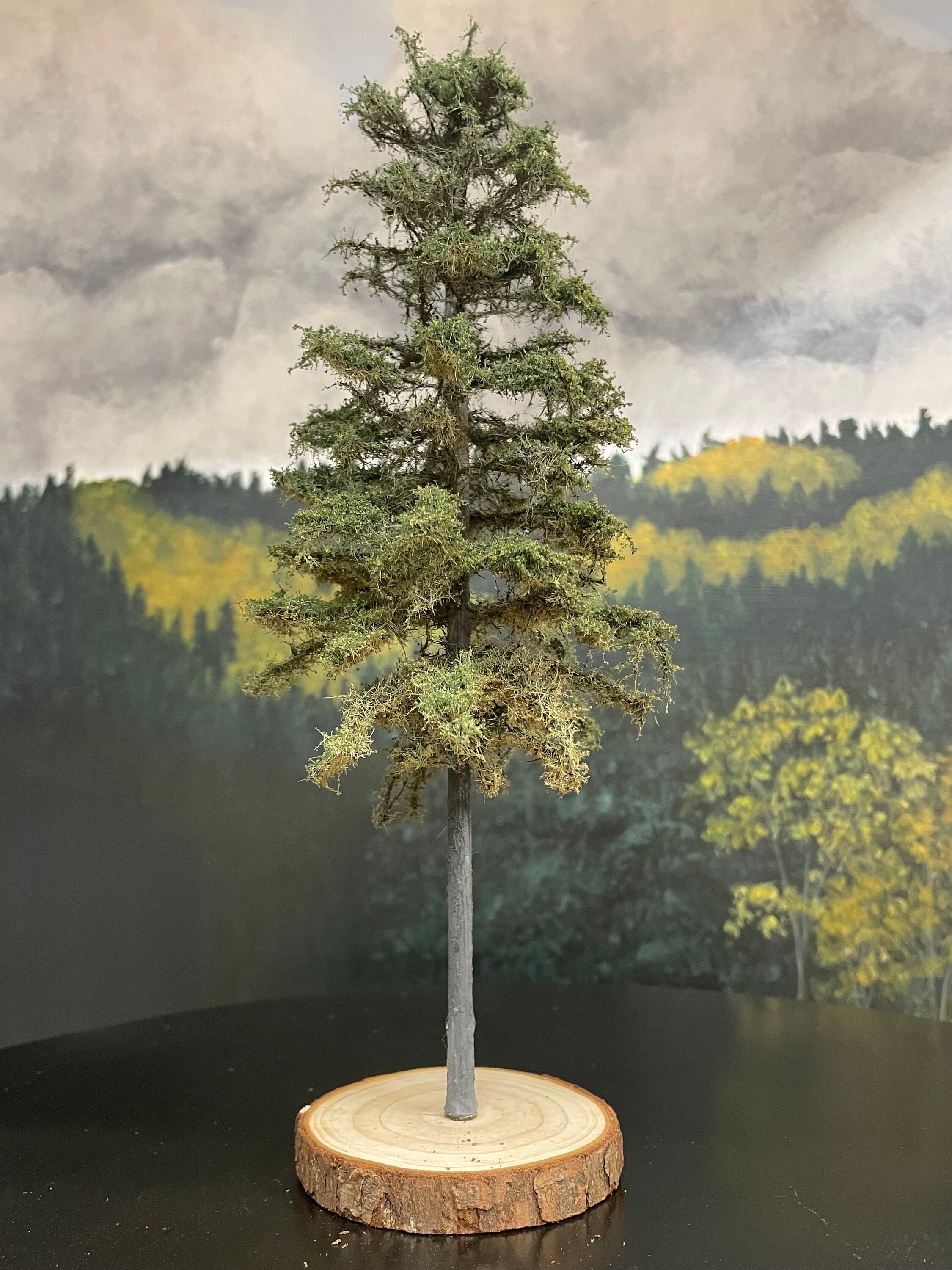 Model Tree 9 Fir Pine Tall Handmade HO, N , O Scale Model Railroad ...
