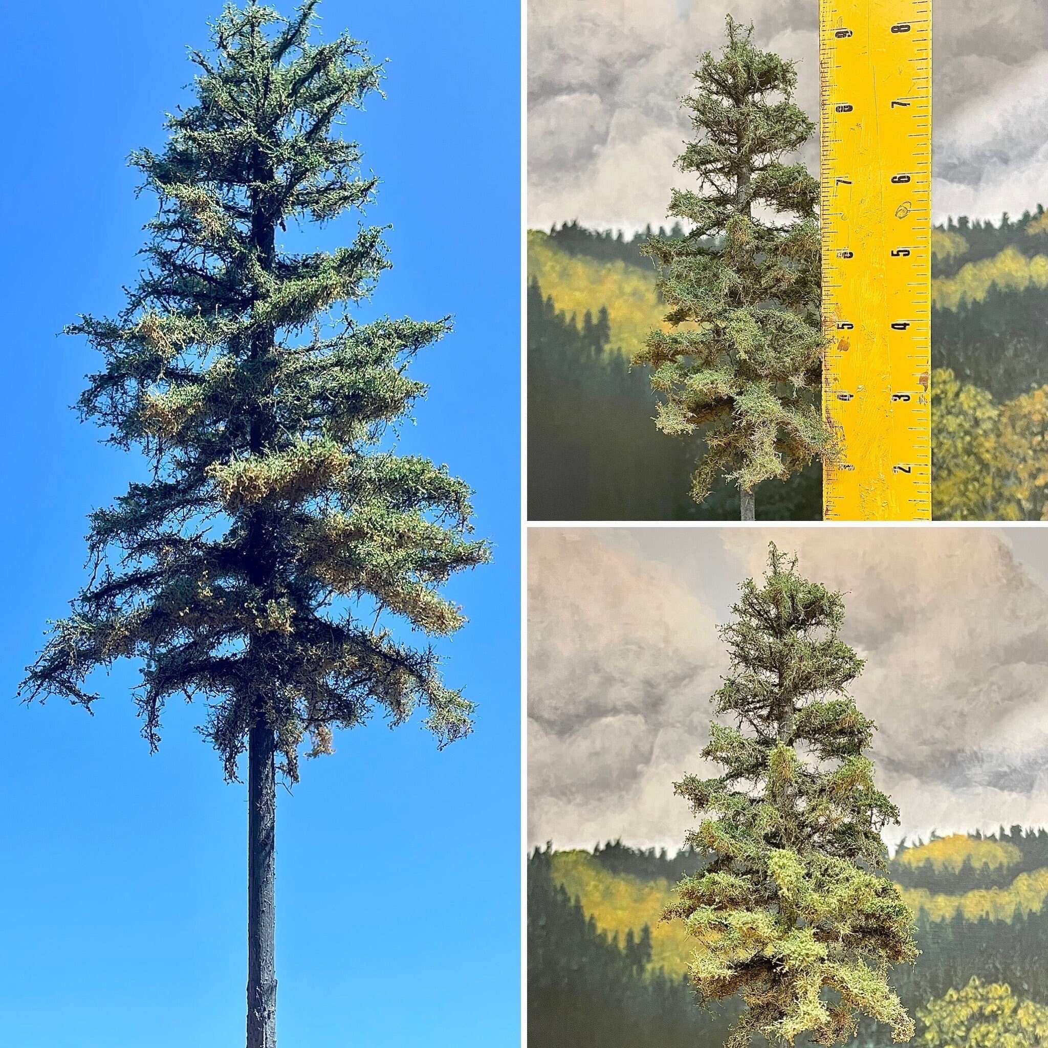 Model Tree 9 Fir Pine Tall Handmade HO, N , O Scale Model Railroad ...