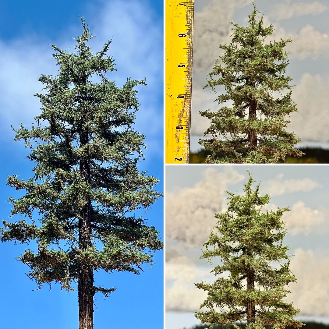 Model Tree 7” Fir Tree Handmade HO, N, O Scale Model Railroad Train ...