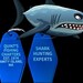 Jaws Inspired Quint's Fishing Charters - Etsy