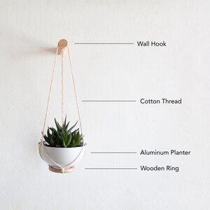 Two Mini Succulent Planters , Small Wall Planter, Wall Plant Hanger ...