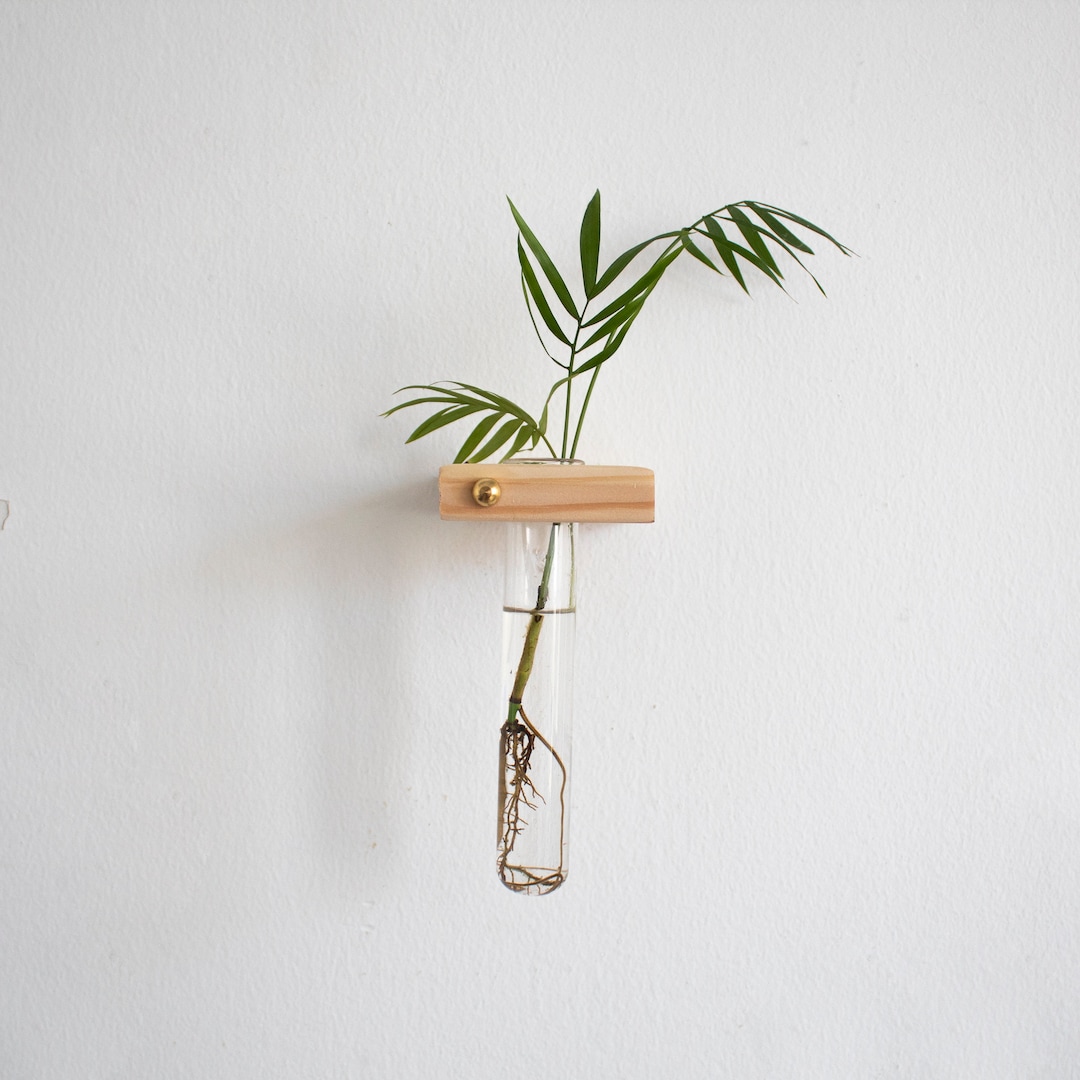Plant Propagation Wall Hanging, Propagation Station Wall, Test Tube ...