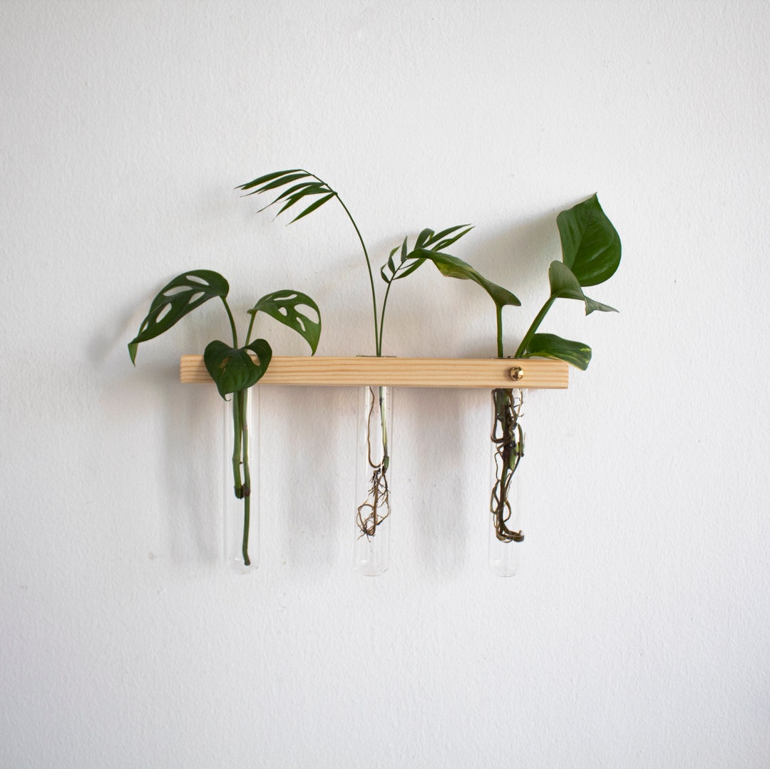 Plant Propagation Wall Hanging Station, Test Tube Propagation Station ...