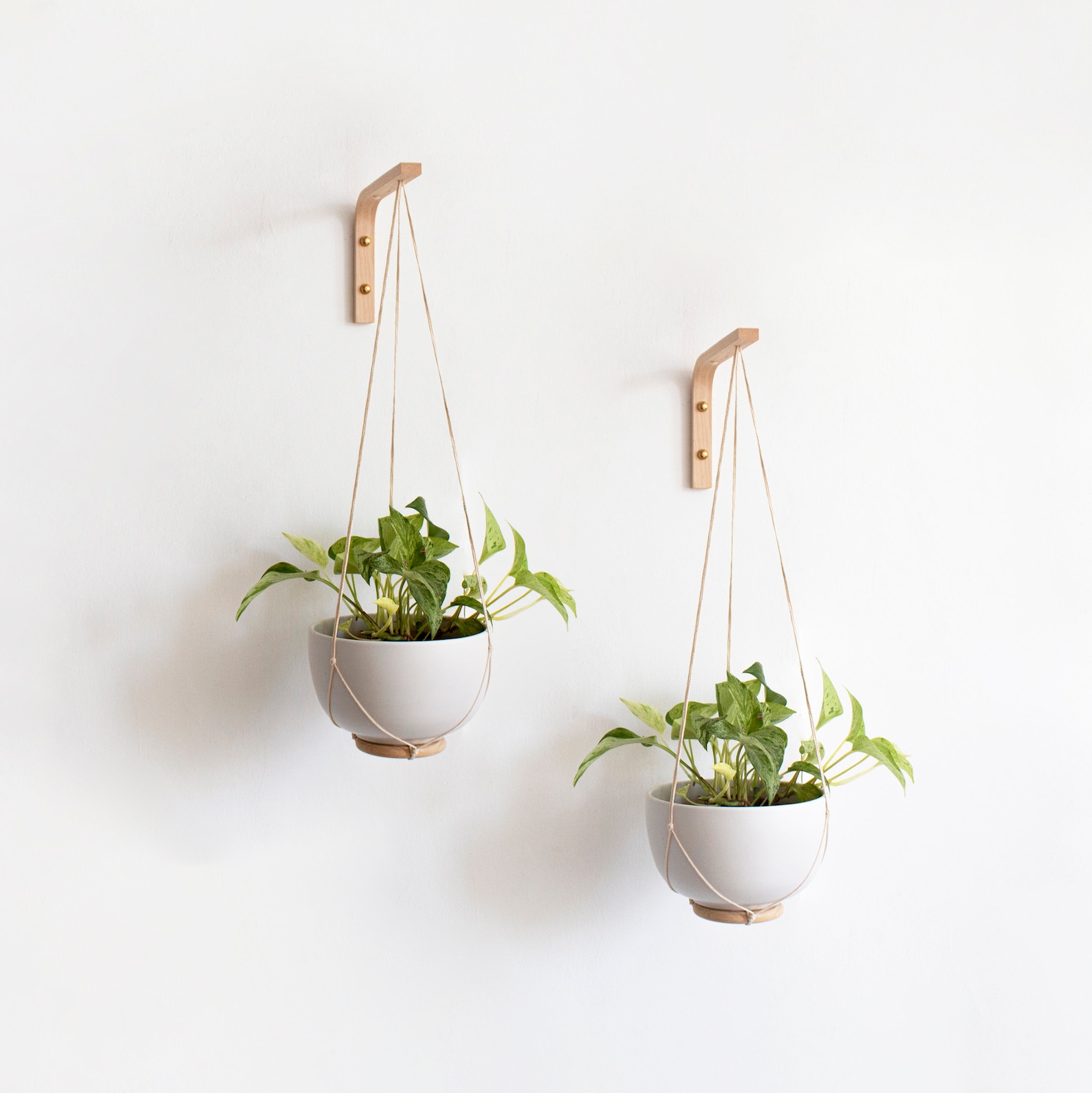 Two Wall Plant Hangers, Wall Hooks for Hanging Plants, Wooden Plant ...
