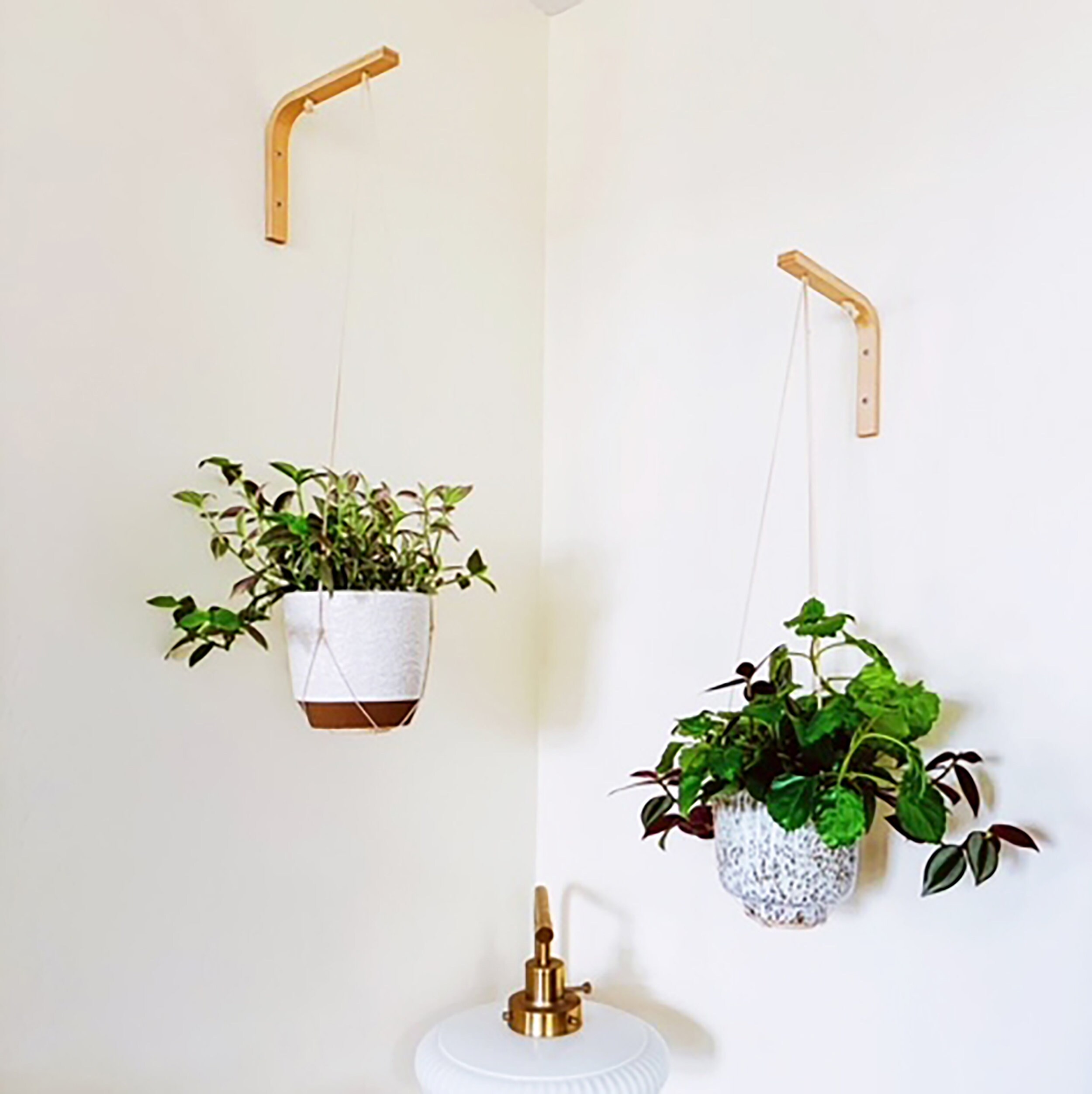 Wall Hook for Hanging Plant Wood Wall Plant Hook Plant - Etsy