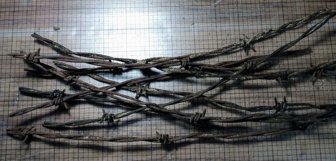 Rustic Rusty Barbed Wire. 10 1 Foot Lengths of 2 Strand 4 - Etsy