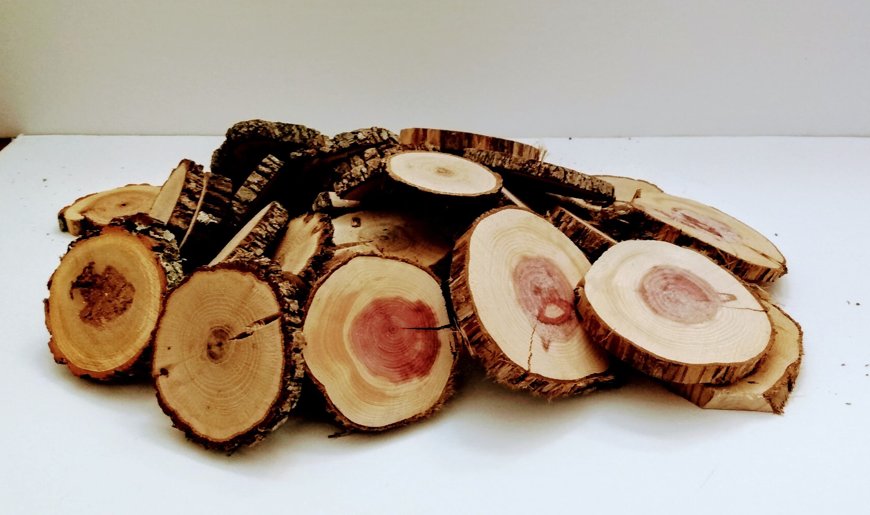 Living Edge Wood Slice Variety Pack, Untreated Rustic Discs - Etsy