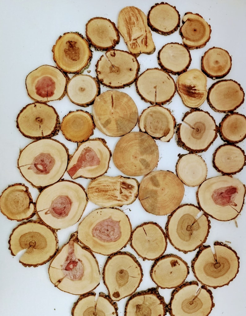 Variety Pack of Wood Discs/slices With Living Edge. - Etsy