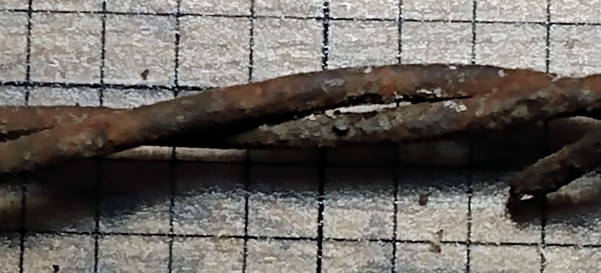 Rustic Rusty Barbed Wire. 10 1 Foot Lengths of 2 Strand 4 - Etsy