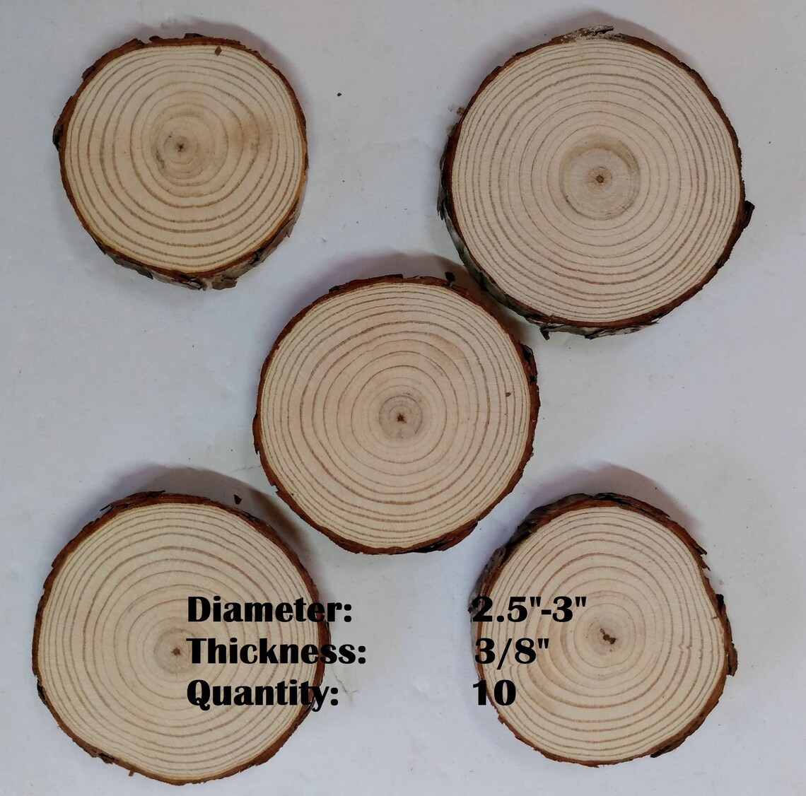 Pine 2.5-3. Pine Wood Discs/slices With Living Edge (set of 10) 2.5"-3 ...