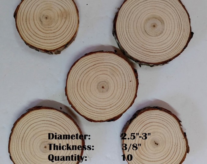 Pine Wood Discs/slices With Living Edge (set of 10) 2.5"-3" Diameter ...