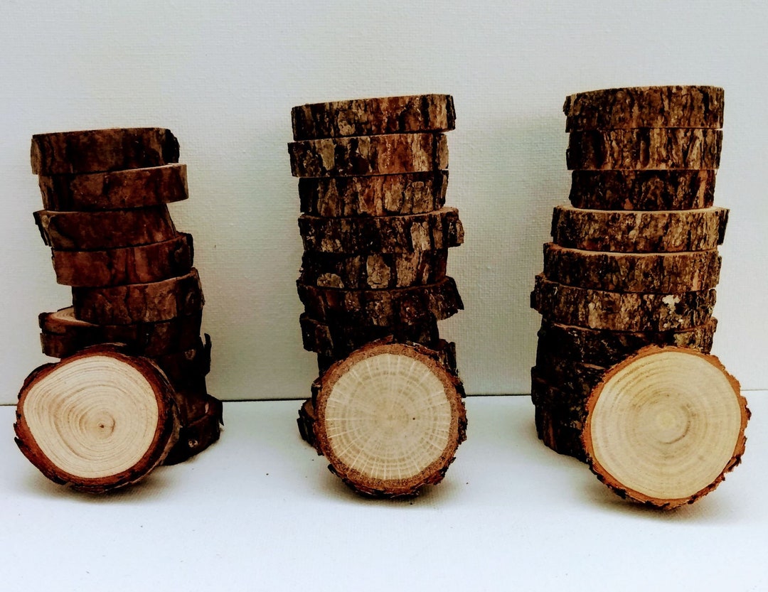 Wood Slices: Pine, Sassafras, Oak, Tree Branch Discs, DIY Pendants - Etsy