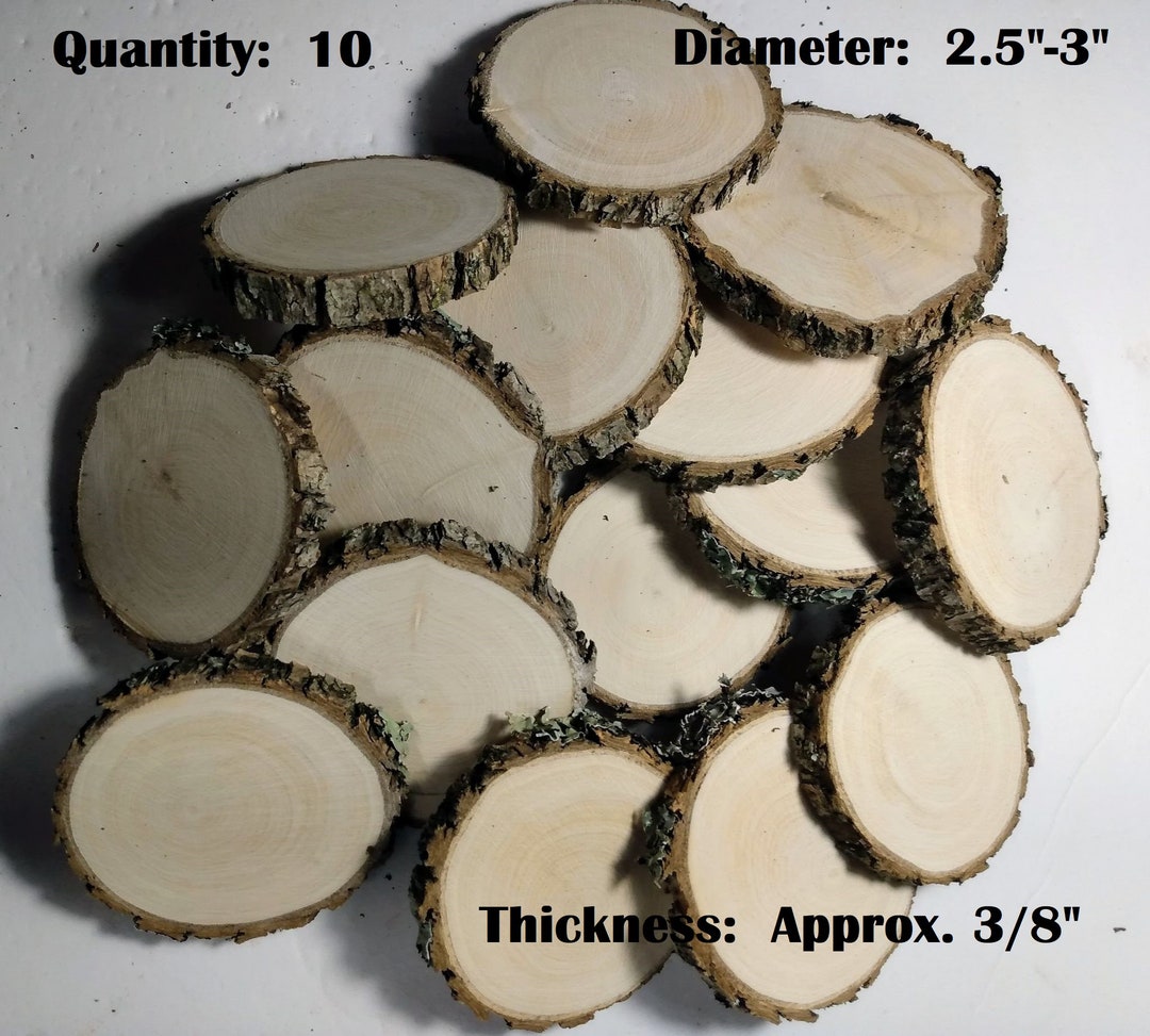 Persimmon Wood Slices With Living Edges (set of 10). 2.5"-3" Diameter ...