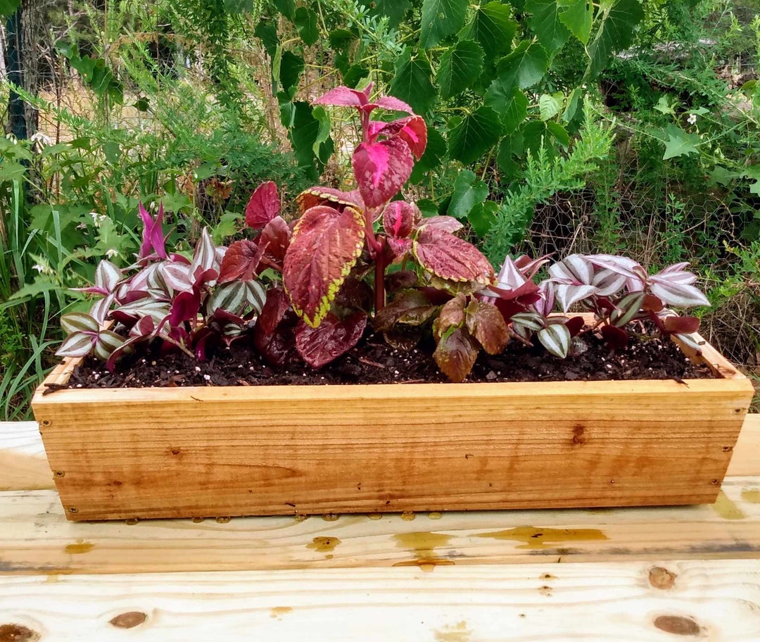 Handmade Rustic Cedar Tabletop Planter (narrow). - Etsy