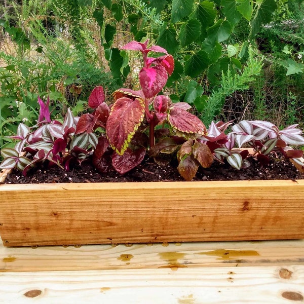Tabletop Planter - Etsy
