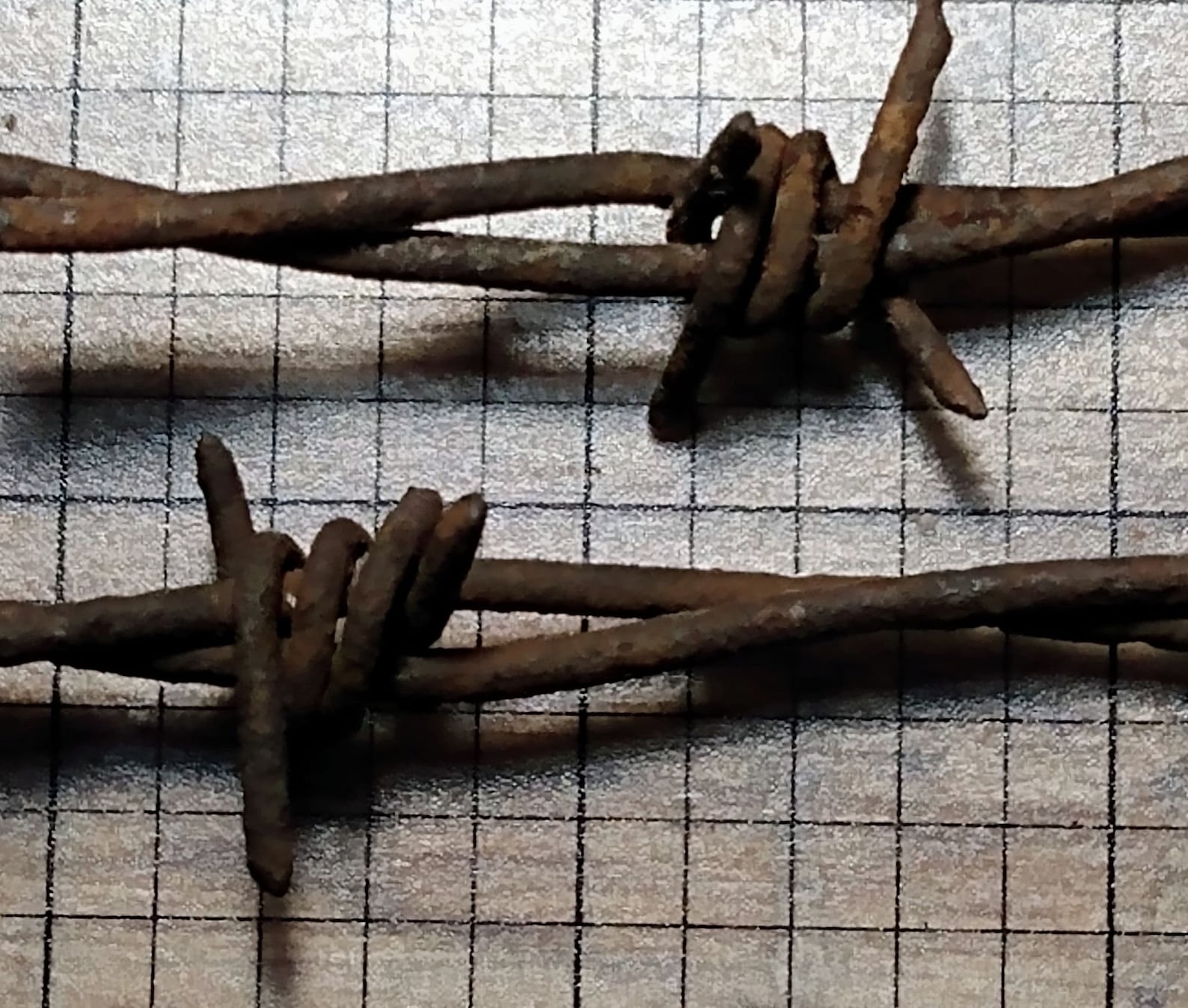 Rustic Rusty Barbed Wire Loop, Farmhouse Decor, Salvage Art - Etsy