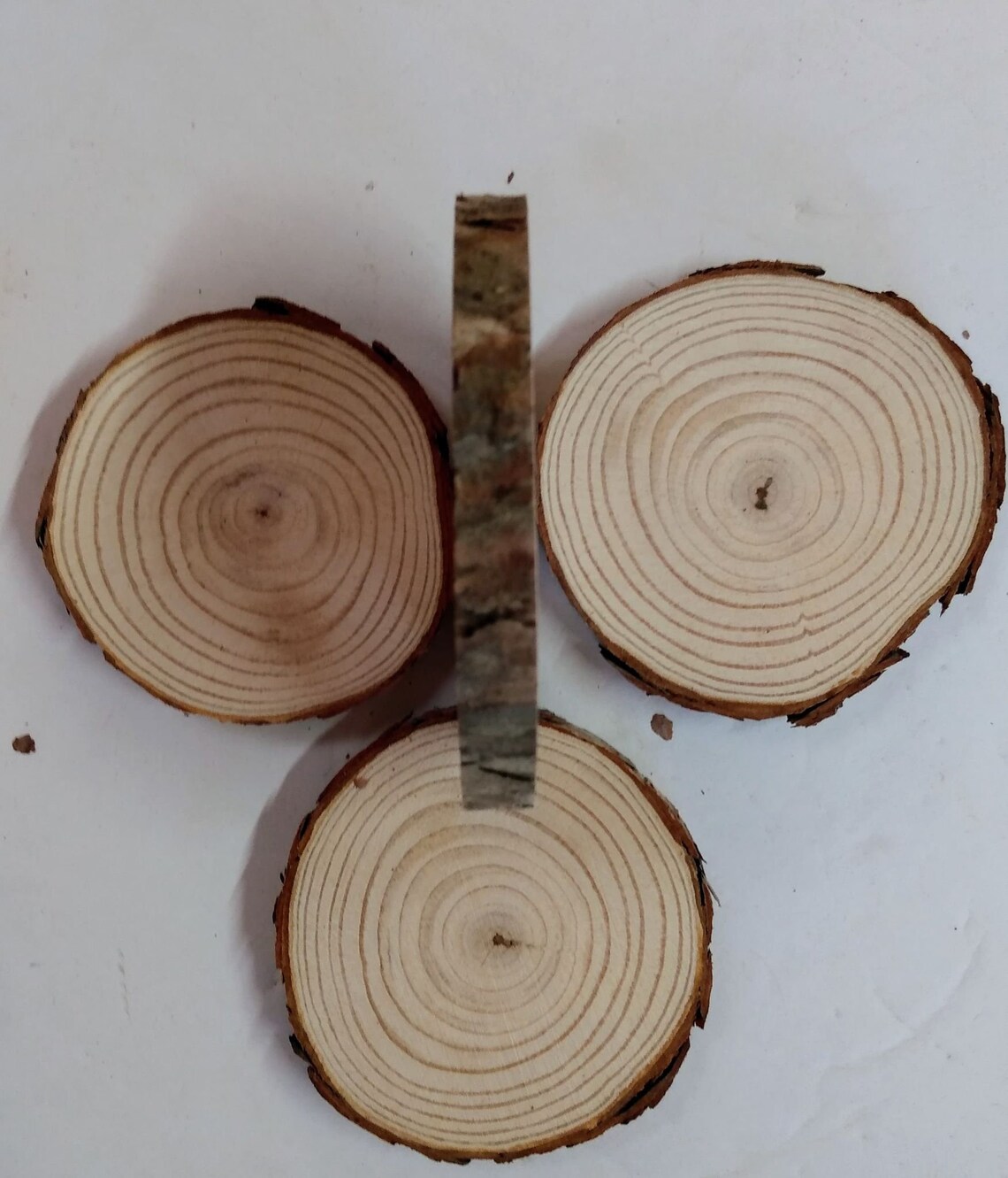 Pine Wood Discs/slices With Living Edge (set of 10) 2.5"-3" Diameter ...