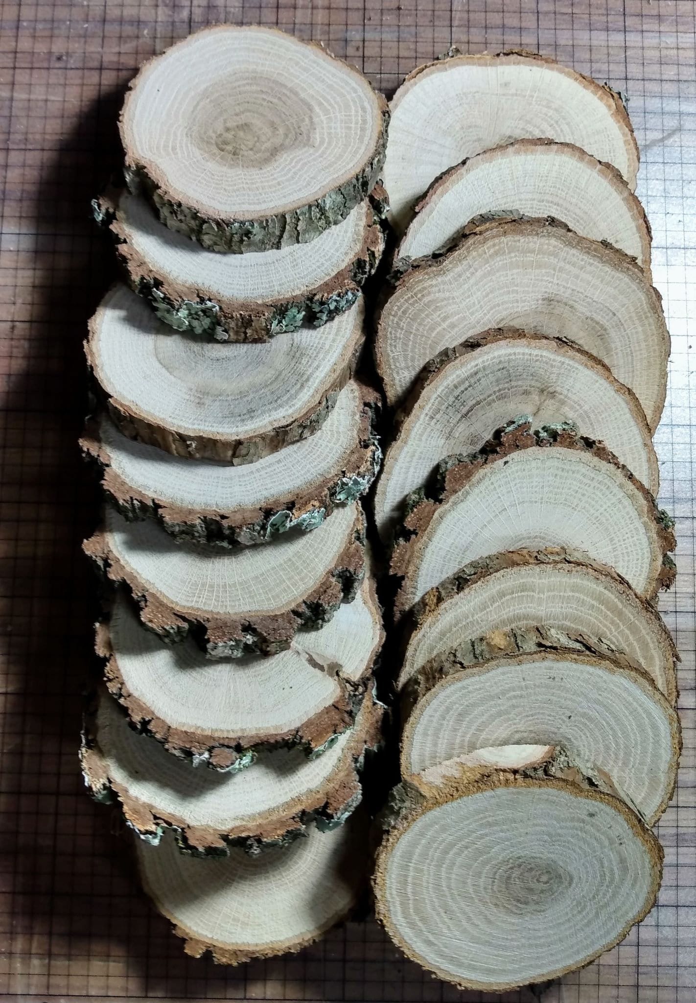 Oak Wood Slices With Living Edge set of 10. Diameter - Etsy