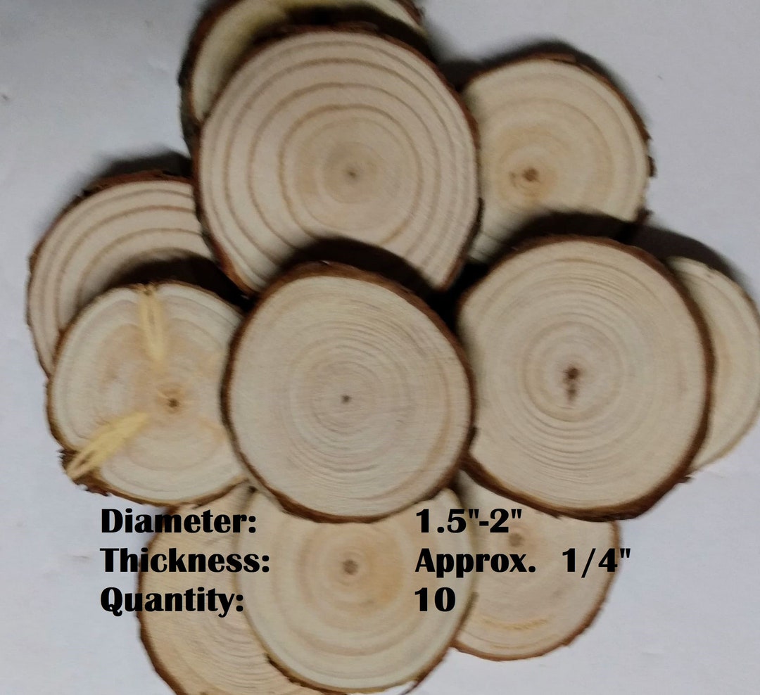 Pine Wood Discs/slices With Living Edge (set of 10) 1.5'-2" Diameter ...