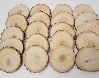 Oak Tree Slices | Etsy
