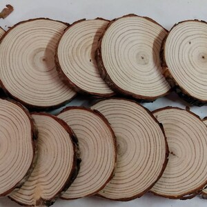 Pine 2.5-3. Pine Wood Discs/slices With Living Edge (set of 10) 2.5"-3 ...