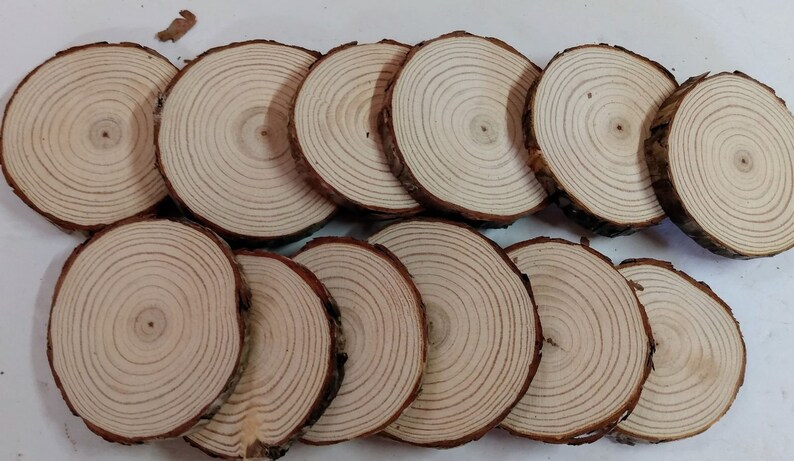 Pine 2.5-3. Pine Wood Discs/slices With Living Edge (set of 10) 2.5"-3 ...