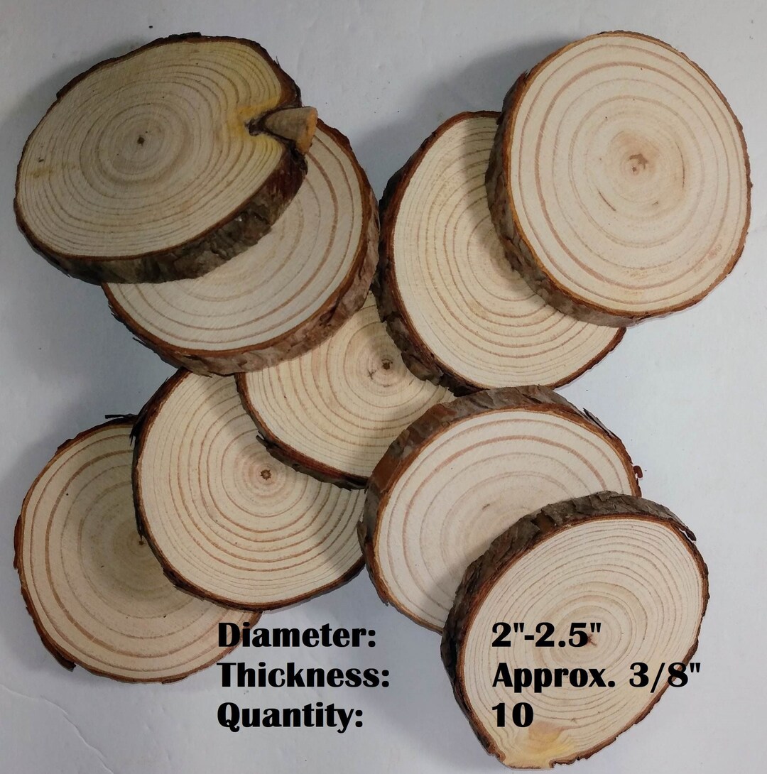 Pine Wood Discs/slices With Living Edge. (set of 10) Diameter 2" to 2.5 ...