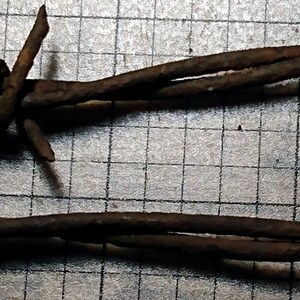 Rustic, Rusty Barbed Wire. (10) 1 Foot Lengths of 2 Strand 4 Prong ...
